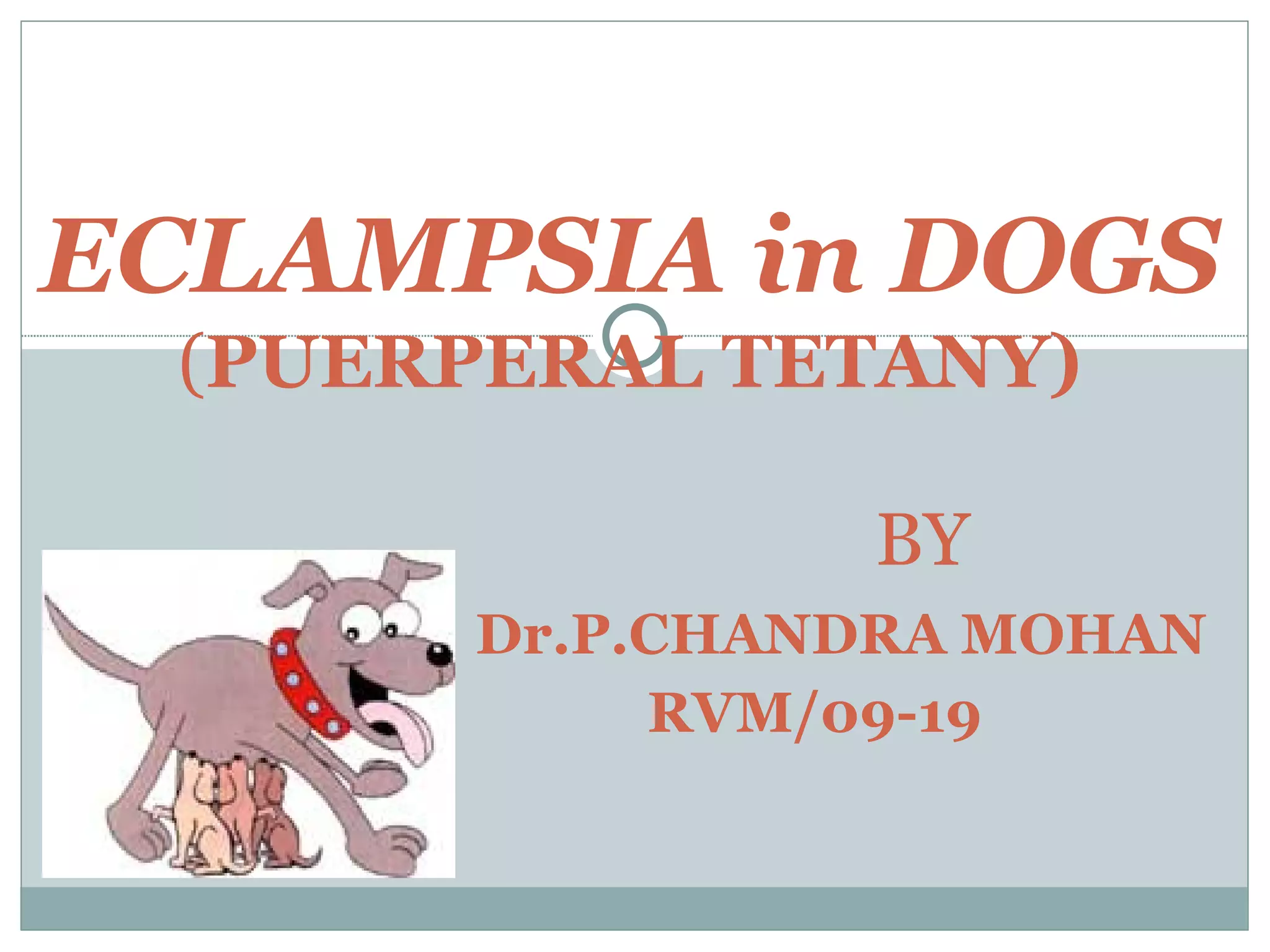 Eclampsia in dogs | PPT