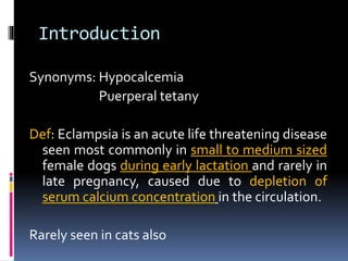 eclampsia in canines - Acute life threatening disease.pptx