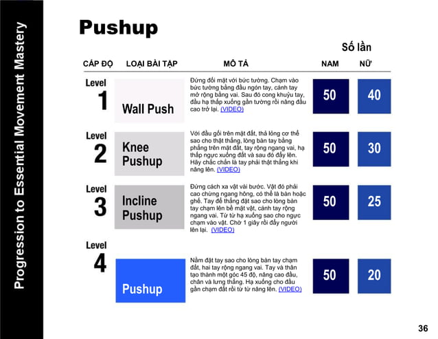 Eclipse Plan Fitness | PPT