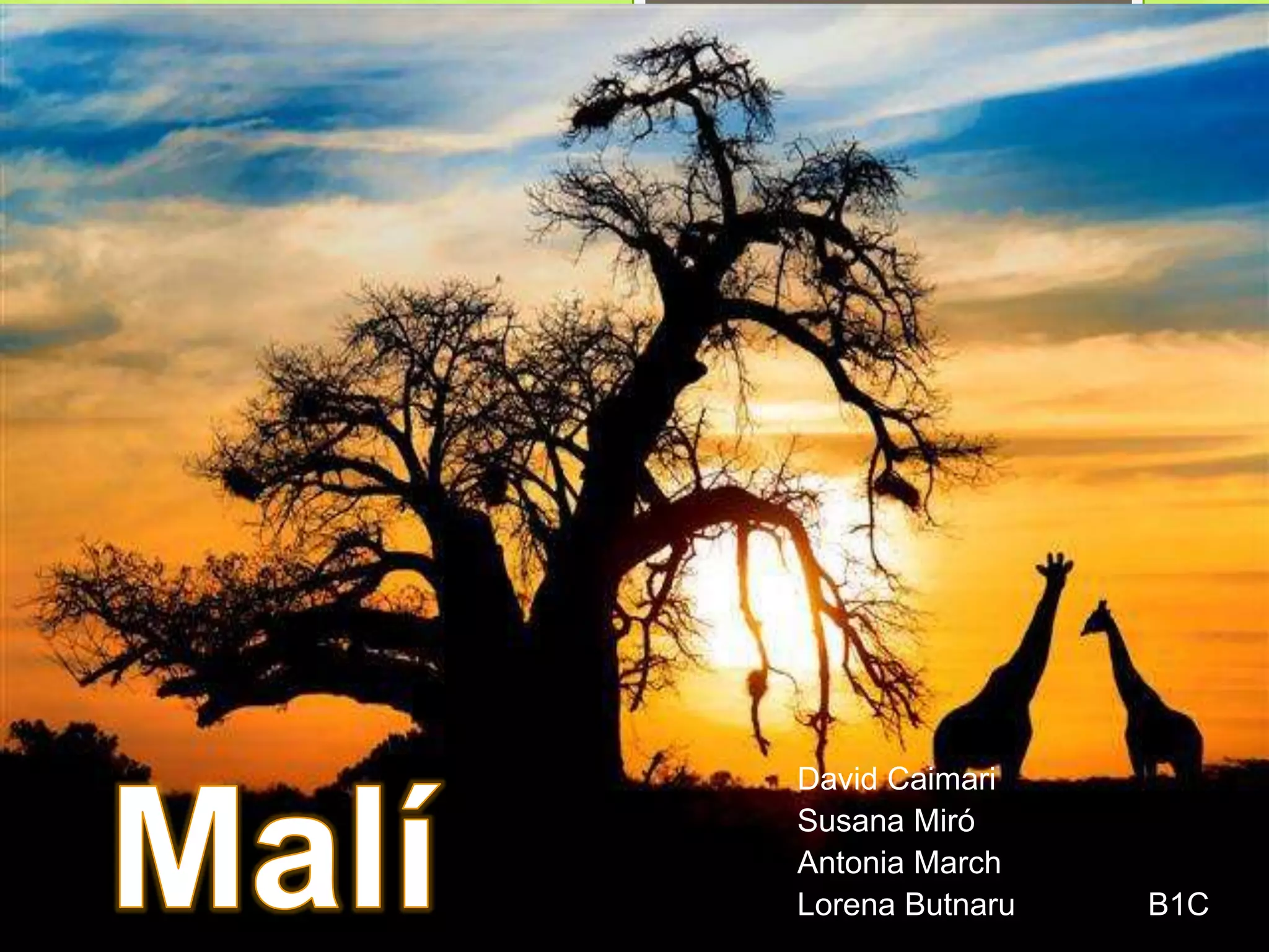 Desenvolupament econòmic:Mali | PPT