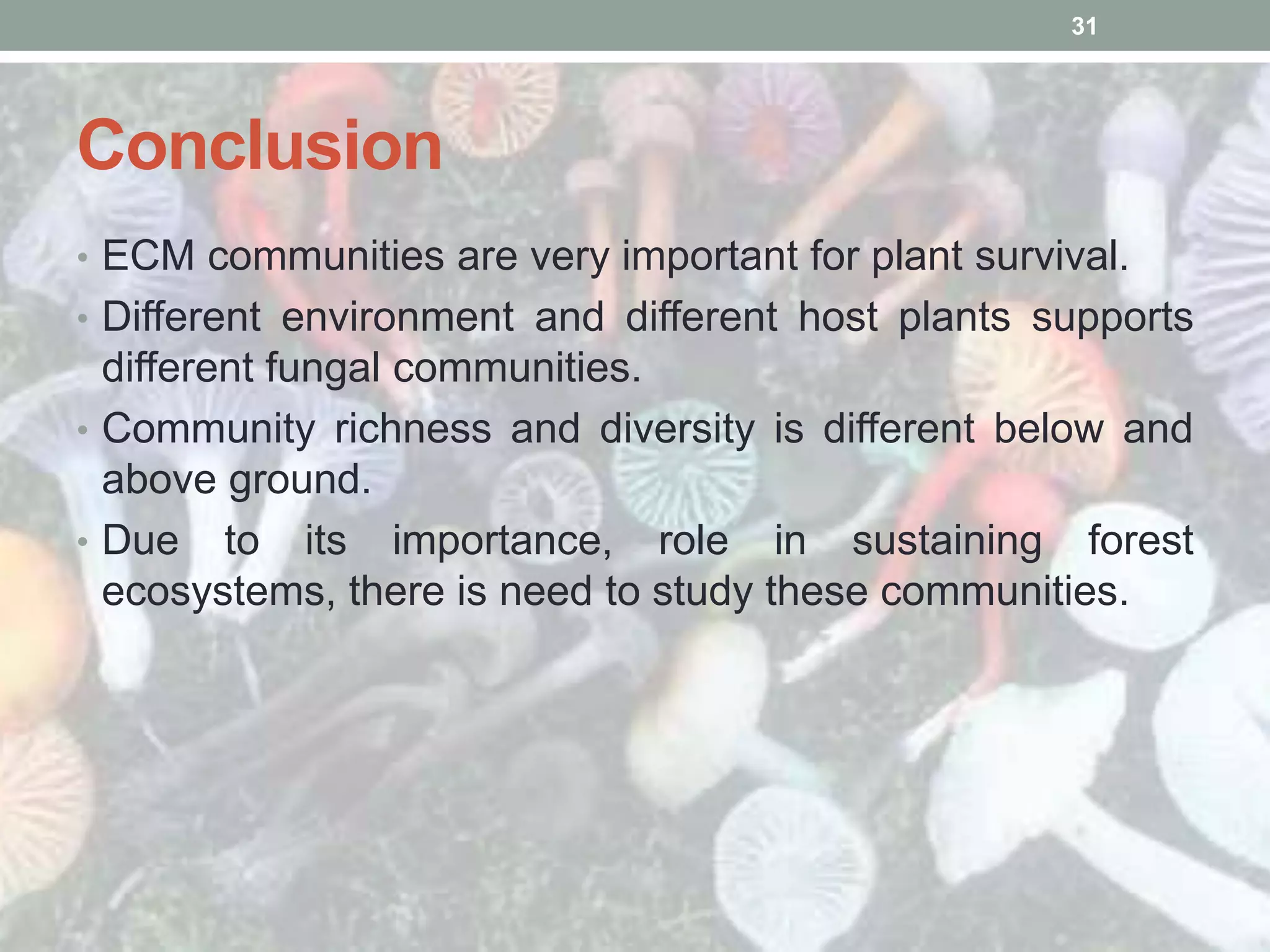ectomycchorhizal fungi | PPT