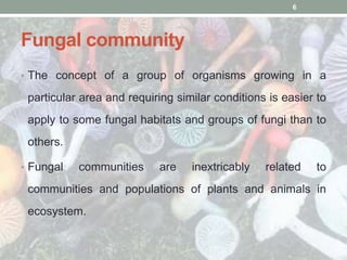 ectomycchorhizal fungi | PPTX