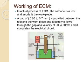 ECM | PPT