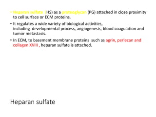 ecm-extra cellular matrix and its function.pptx