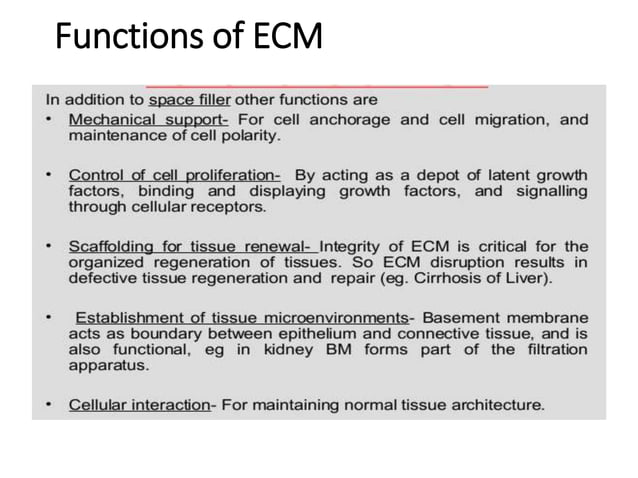 ecm-extra cellular matrix and its function.pptx | Biological Sciences ...