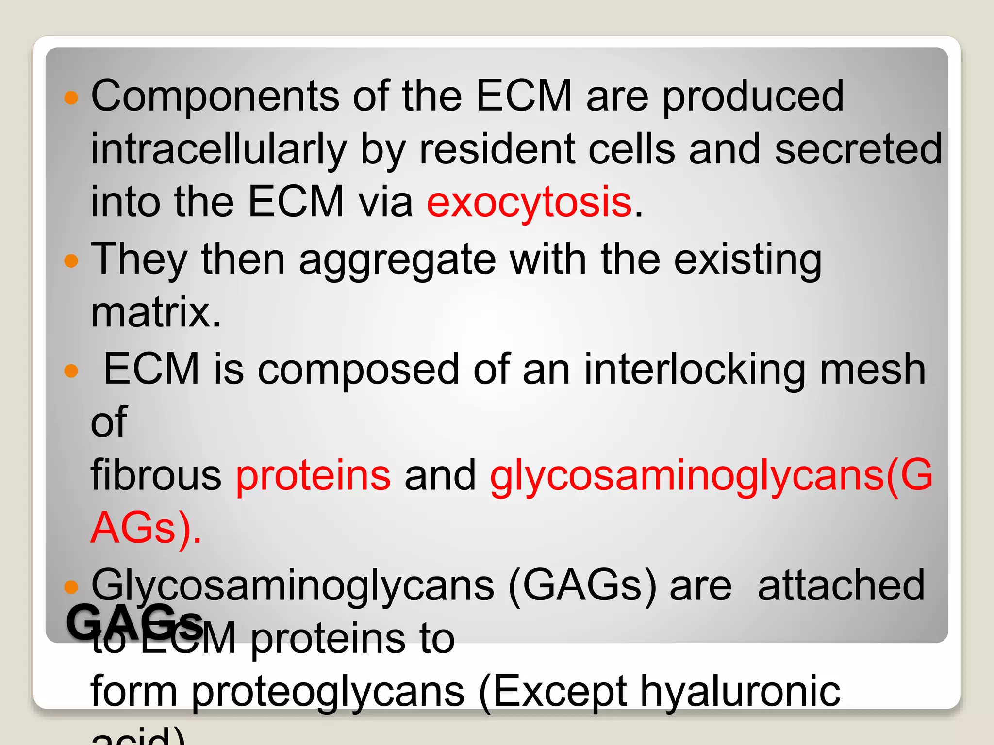 Extra Cellular Matrix (ECM) | PPTX