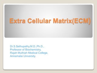 Extra Cellular Matrix (ECM) | PPTX