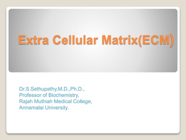 Extra Cellular Matrix (ECM) | PPTX | Biological Sciences | Science