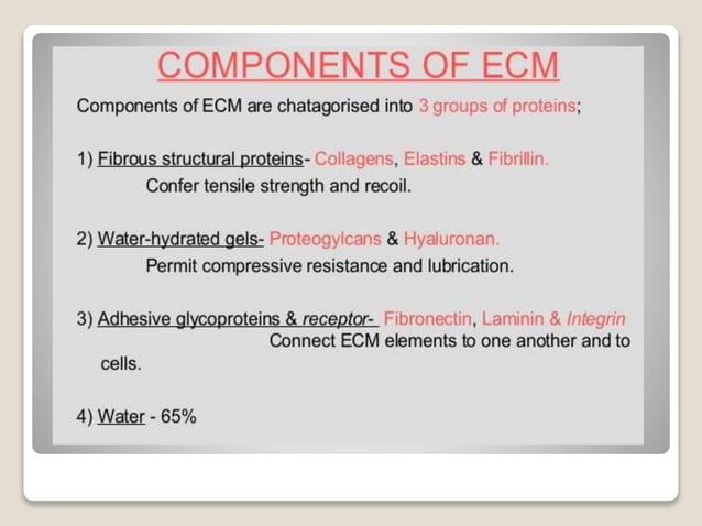 Extra Cellular Matrix (ECM) | PPTX | Biological Sciences | Science