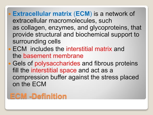Extra Cellular Matrix (ECM) | PPTX | Biological Sciences | Science