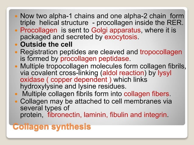 Extra Cellular Matrix (ECM) | PPTX | Biological Sciences | Science