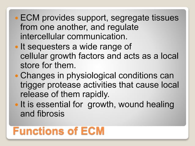 Extra Cellular Matrix (ECM) | PPTX | Biological Sciences | Science