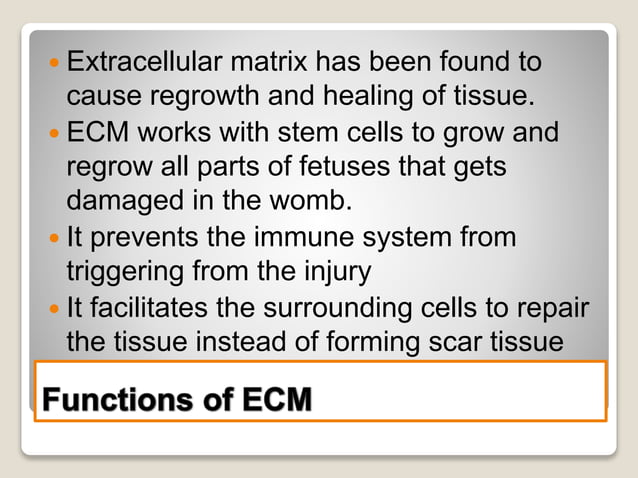 Extra Cellular Matrix (ECM) | PPTX | Biological Sciences | Science