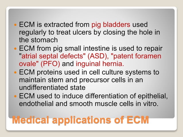 Extra Cellular Matrix (ECM) | PPTX | Biological Sciences | Science