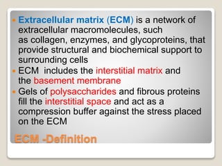 Extracellular Matrix