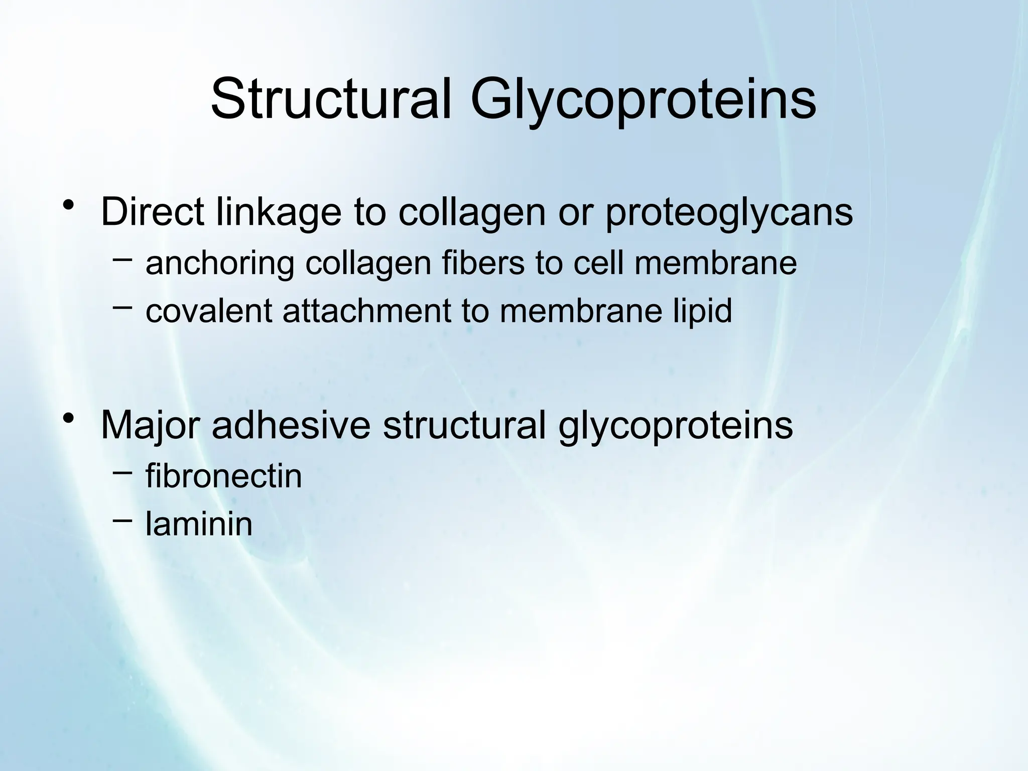 Extracellular matrix biochemistry project | PPTX