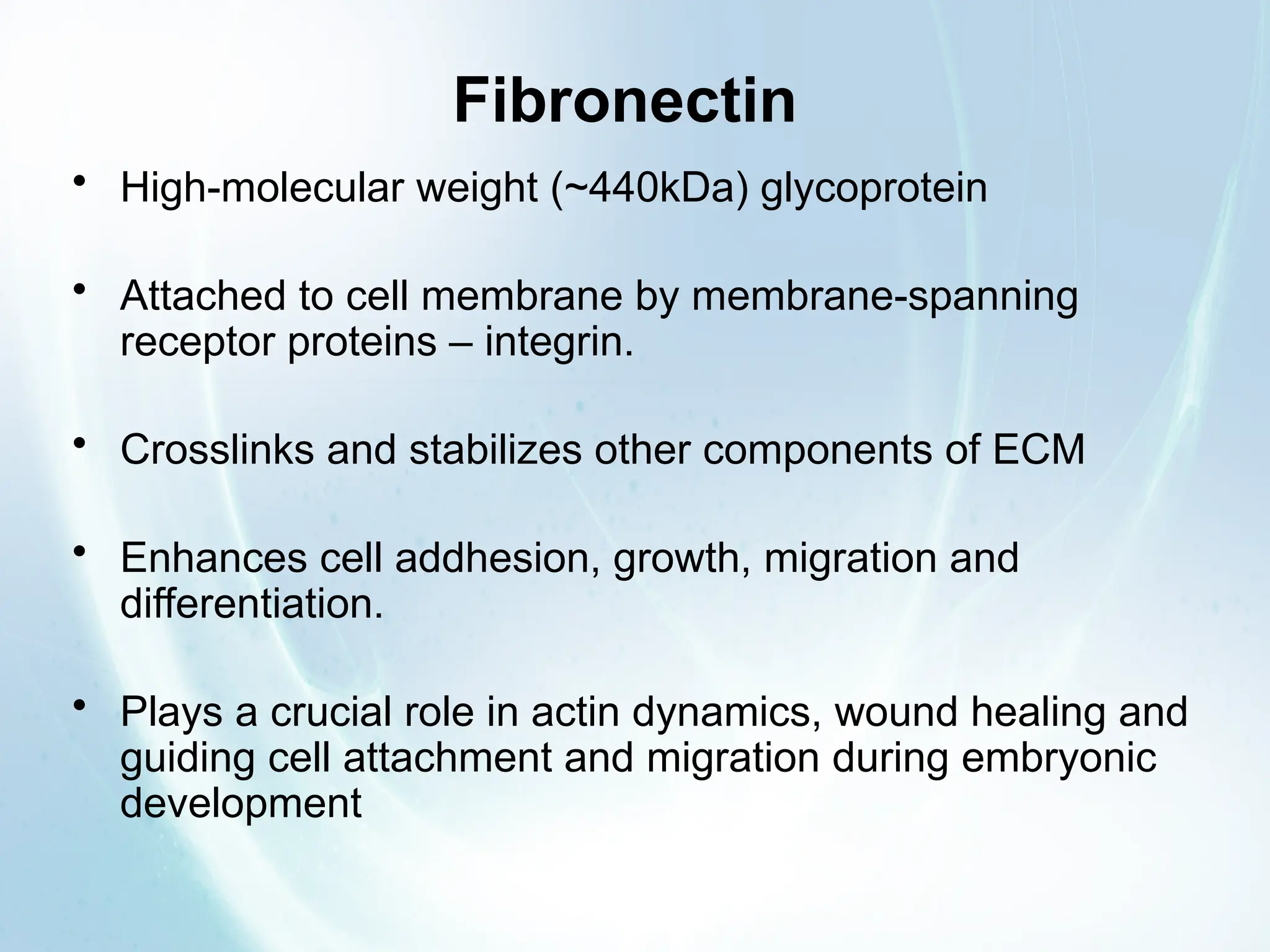 Extracellular matrix biochemistry project | PPTX