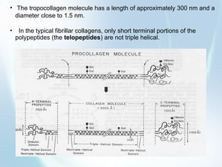 Extracellular matrix biochemistry project | PPT