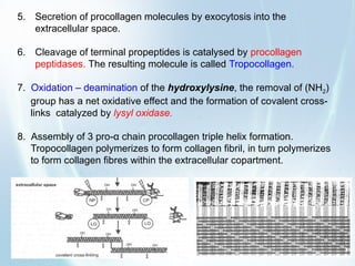 Extracellular matrix biochemistry project | PPTX