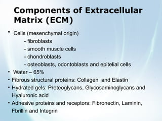 Extracellular matrix biochemistry project | PPT