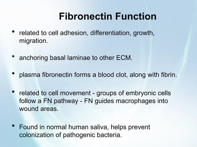 Extracellular matrix biochemistry project | PPTX