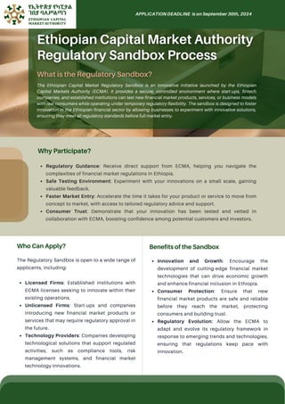 ECMA Regulatory Sandbox Process. It concer about law.pdf