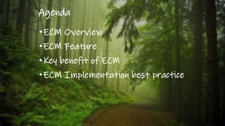 ECM for Dummy 2021.pptx