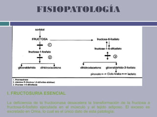Errores del Metabolismo de la Fructosa | PPT