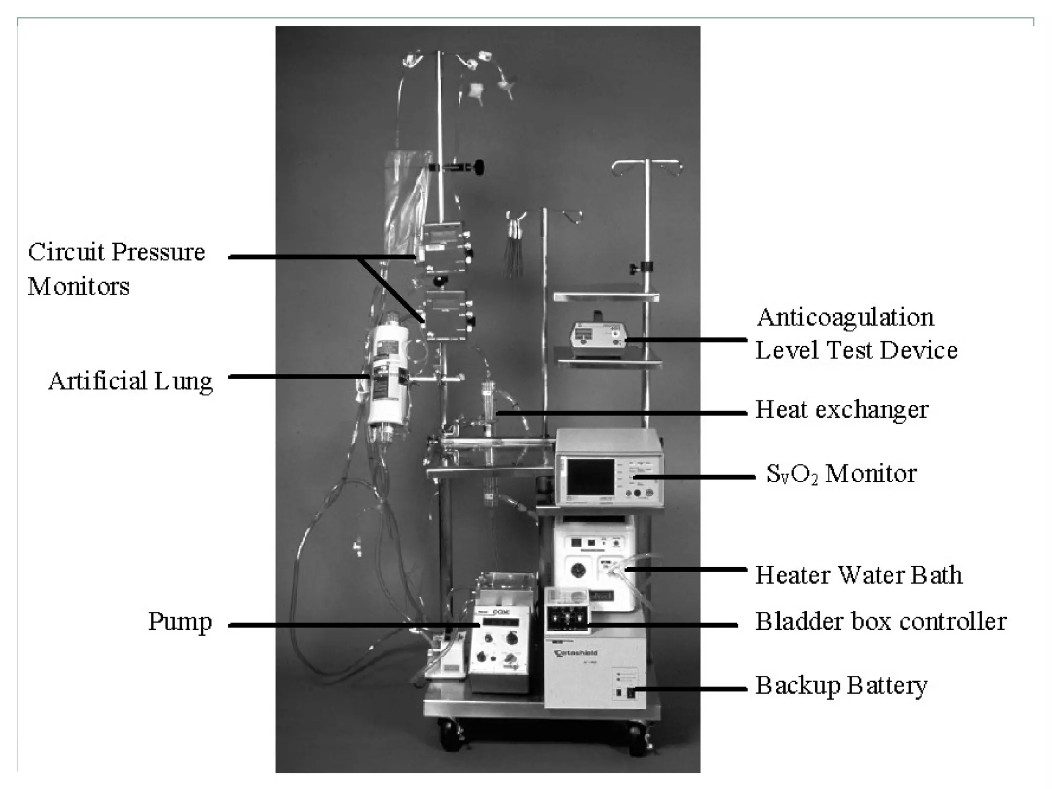 Ecmo | PPT