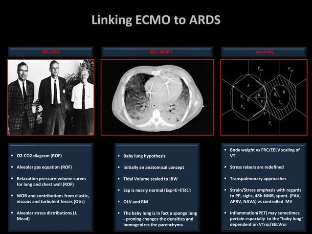 ECMO - beyond protective ventilation | PPTX | Lung and Respiratory ...