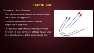 Ecmo | PPT