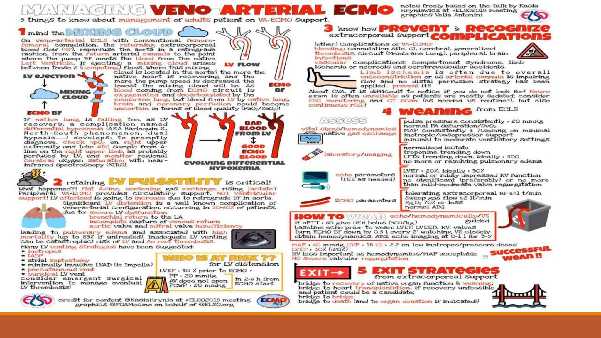 Extracorporeal Membrane Oxygenation (ECMO) | PPTX | Lung and Respiratory Health | Diseases and ...