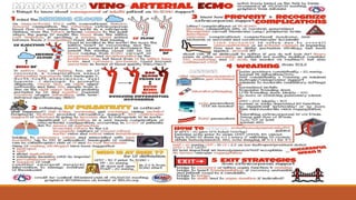 Extracorporeal Membrane Oxygenation (ECMO) | PPTX | Lung and ...