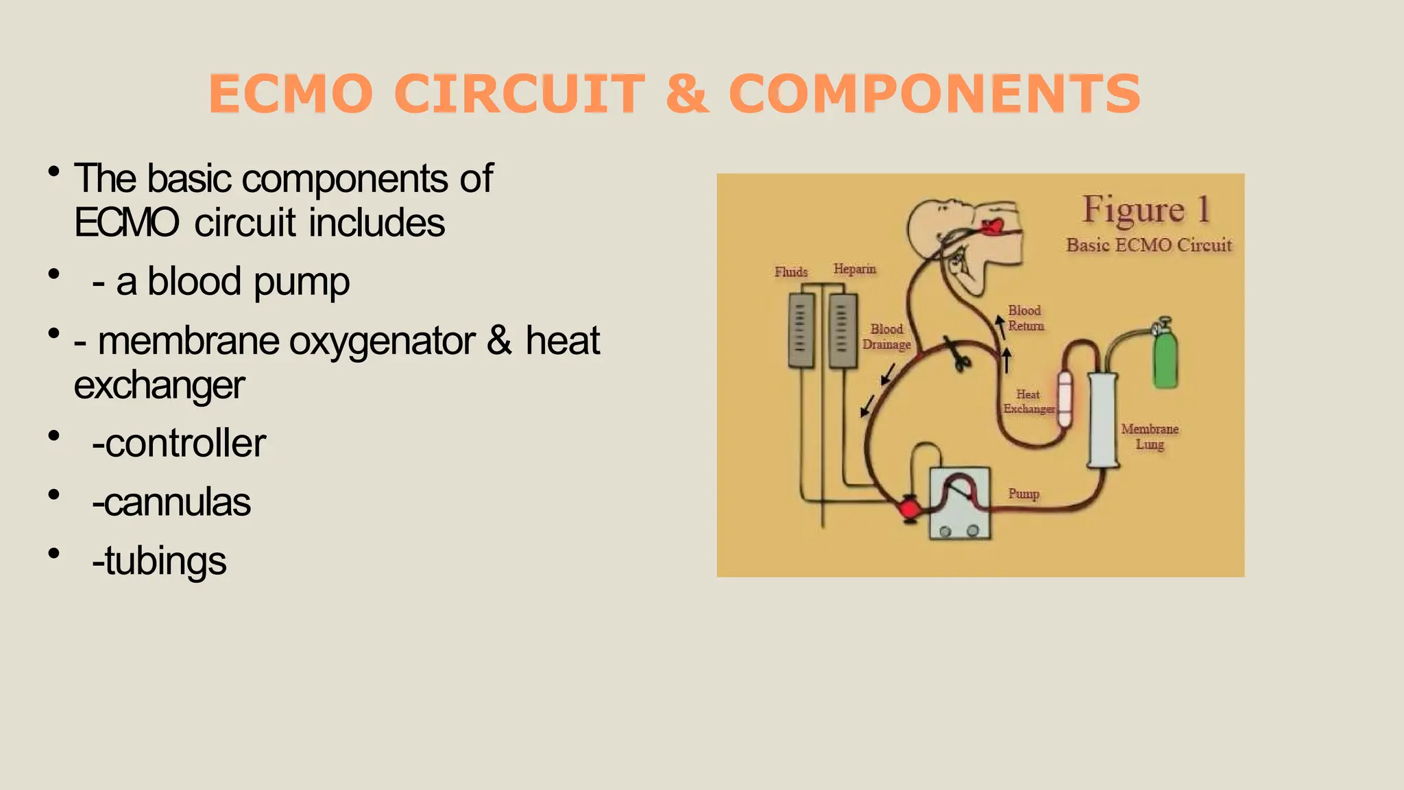 Extracorpereal membrane oxygenation ECMO.pptx