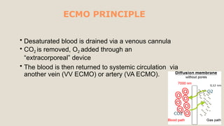 Extracorpereal membrane oxygenation ECMO.pptx