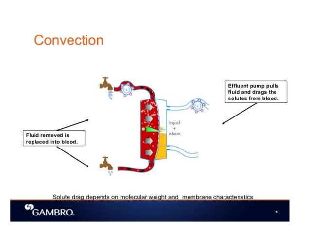 Ecmo and crrt | PPTX
