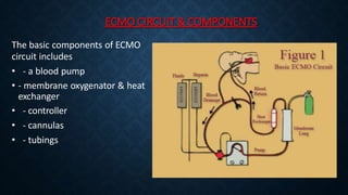 Ecmo Parts