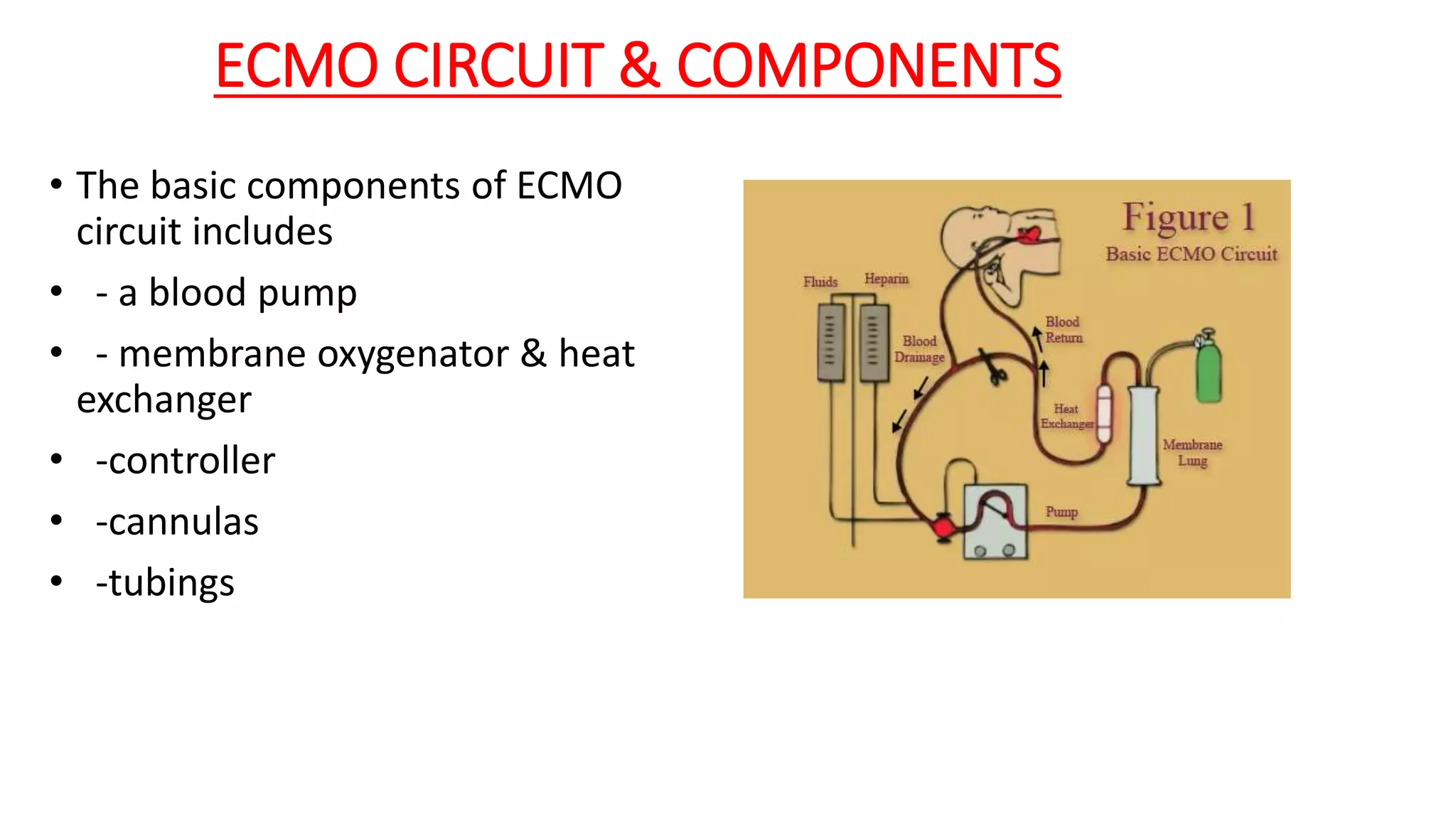 ECMO - extracorporeal membrane oxygenation | PPTX | Lung and Respiratory Health | Diseases and ...