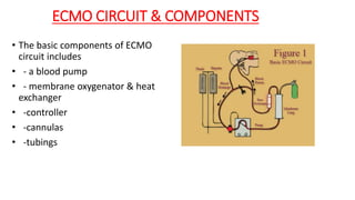 ECMO - extracorporeal membrane oxygenation | PPTX