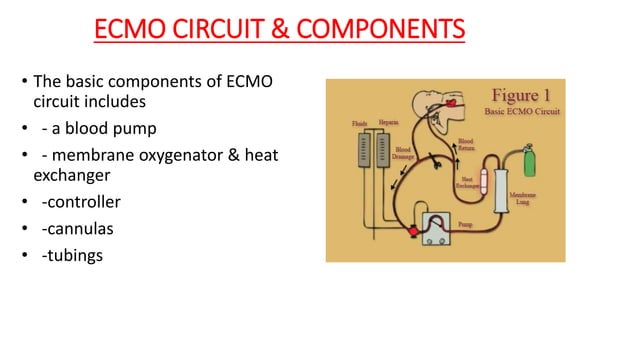 ECMO - extracorporeal membrane oxygenation | PPTX | Lung and ...