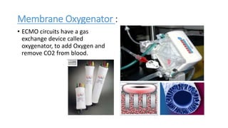 ECMO - extracorporeal membrane oxygenation | PPTX