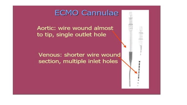 ECMO - extracorporeal membrane oxygenation | PPTX | Lung and ...