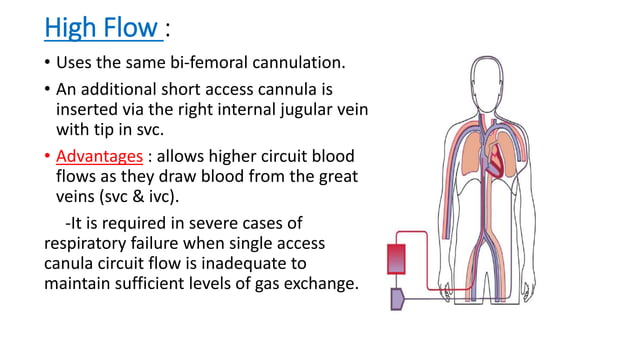 ECMO - extracorporeal membrane oxygenation | PPTX | Lung and ...