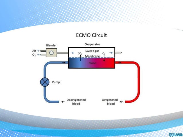 Ecmo | PPTX