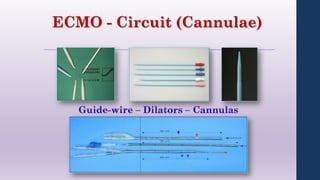 ECMO in Critical Care | PDF