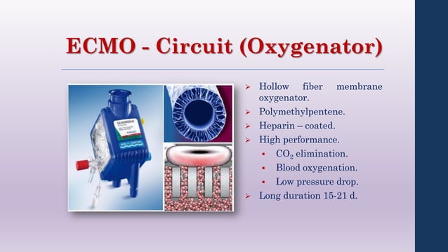 ECMO in Critical Care | PDF | Lung and Respiratory Health | Diseases and Conditions