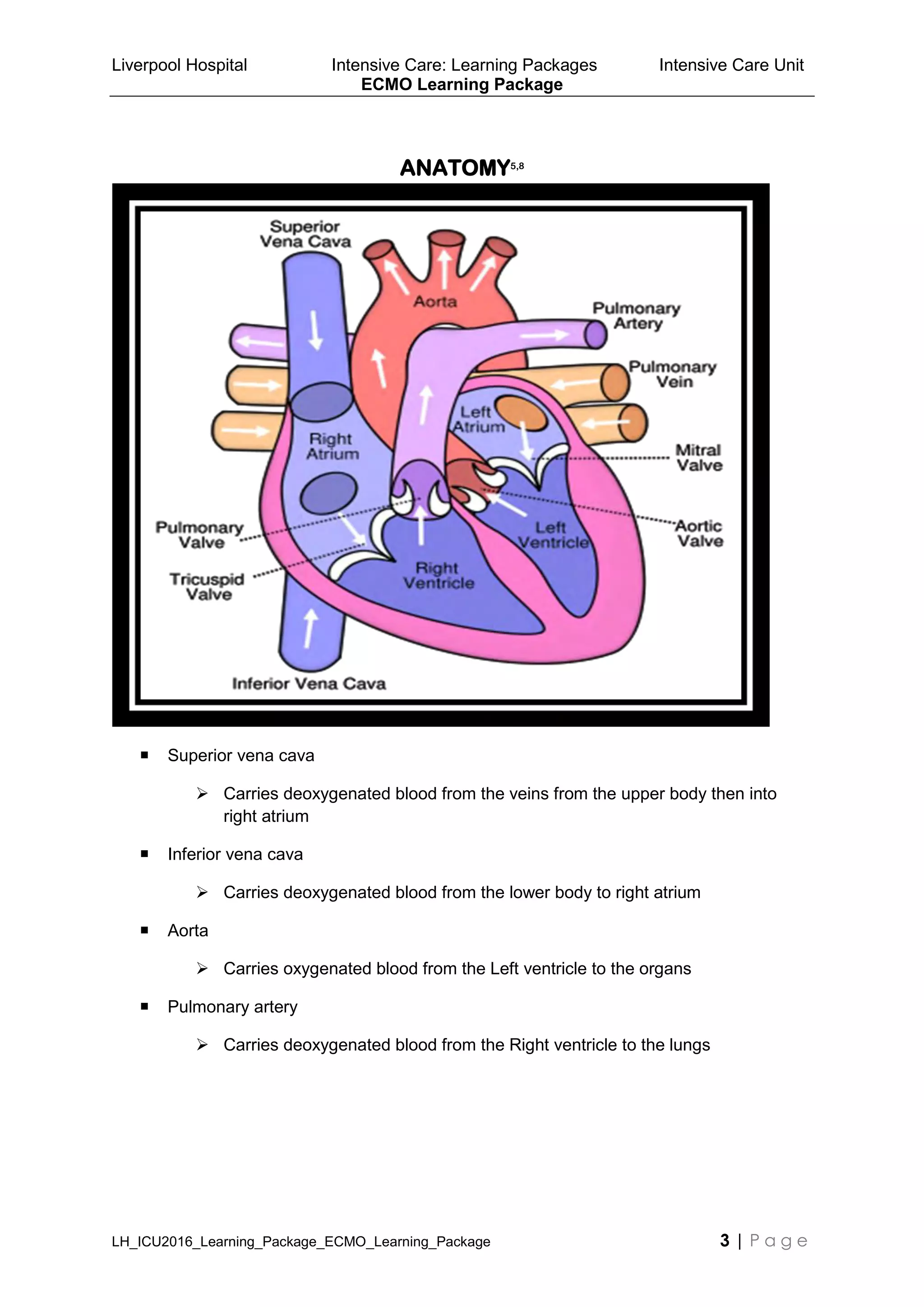 ECMO_Learning_package.pdf | Heart and Cardiovascular Diseases | Diseases and Conditions