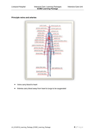 ECMO_Learning_package.pdf | Heart and Cardiovascular Diseases | Diseases and Conditions
