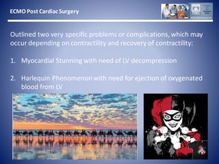 Ecmo Post Cardiac Surgery | PDF