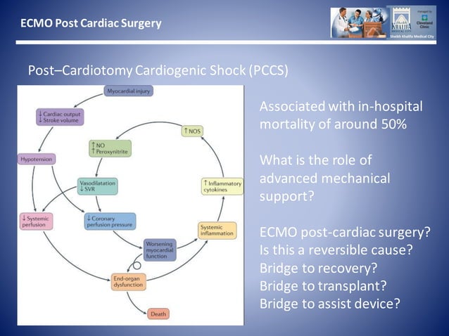 Ecmo Post Cardiac Surgery | PDF